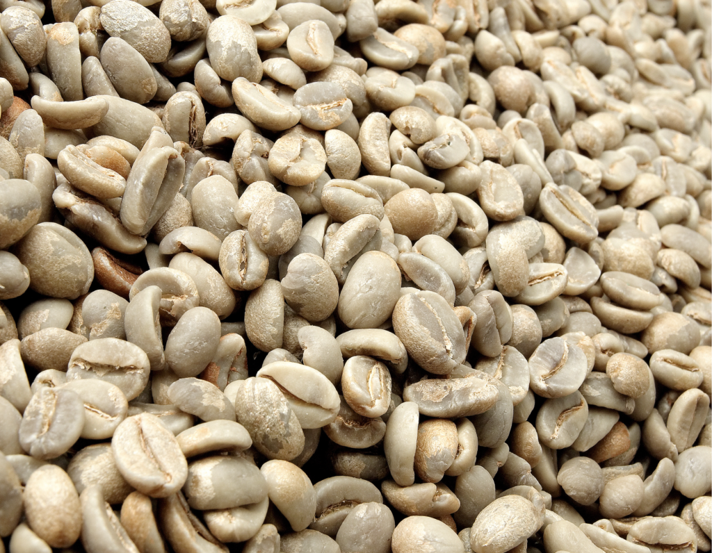 Ou Yang Washed (Green/Unroasted Coffee Beans) 350g - YORZ International